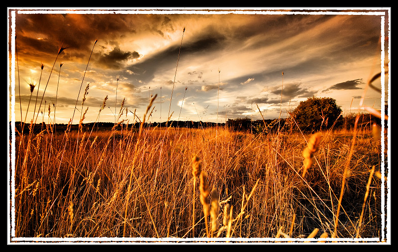 Home/MAXU PhotoGallery/Nature and Landscapes/Landscapes/O - I campi di ...